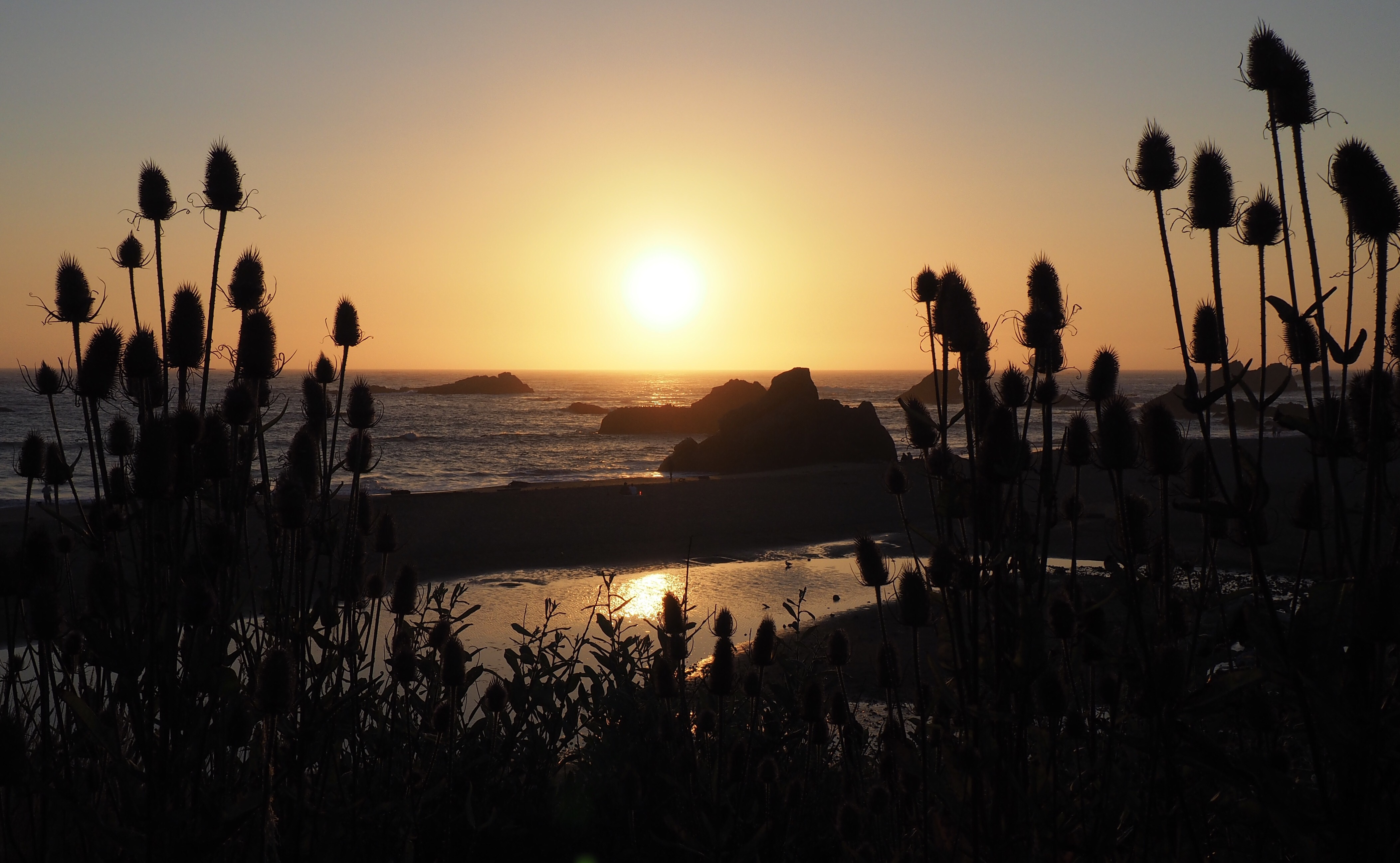 Goodnight From Harris Beach State Park in Oregon | carryoncouple